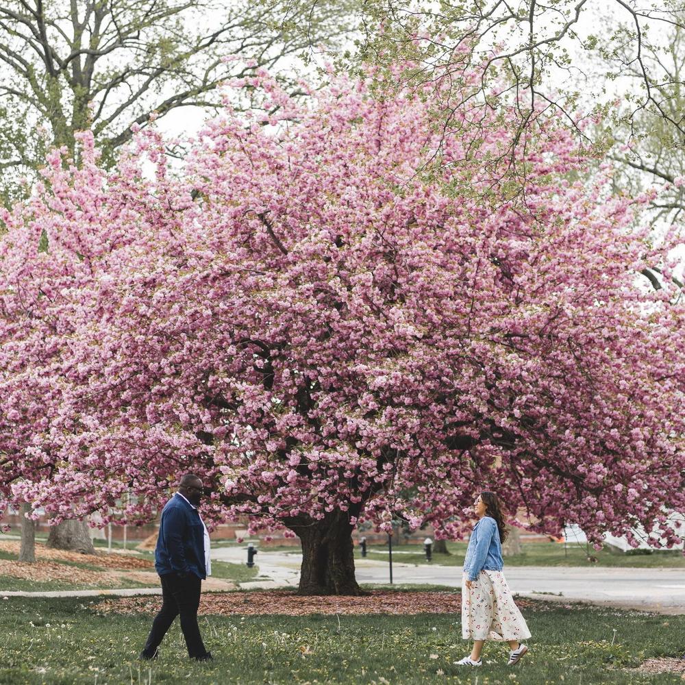 Lauribel Pantaleon and O'Shea Burton's Wedding Website