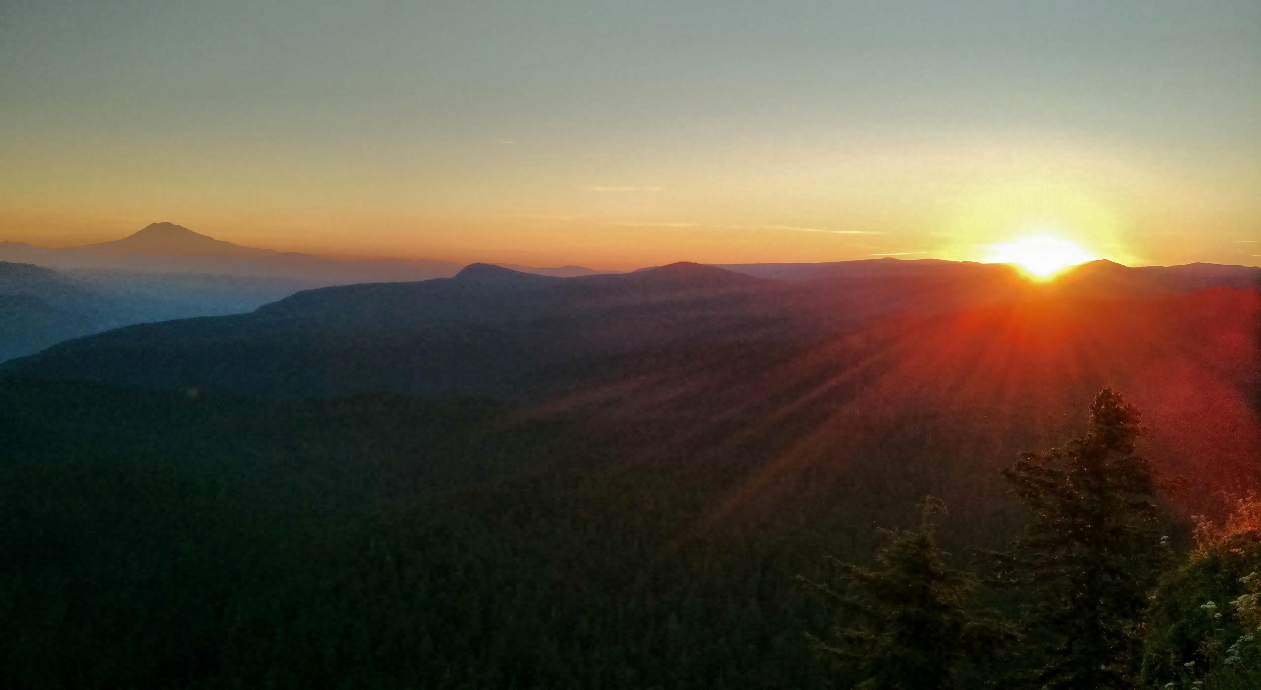 Michael Wollenberg and Natalya Arnautova's Wedding Website