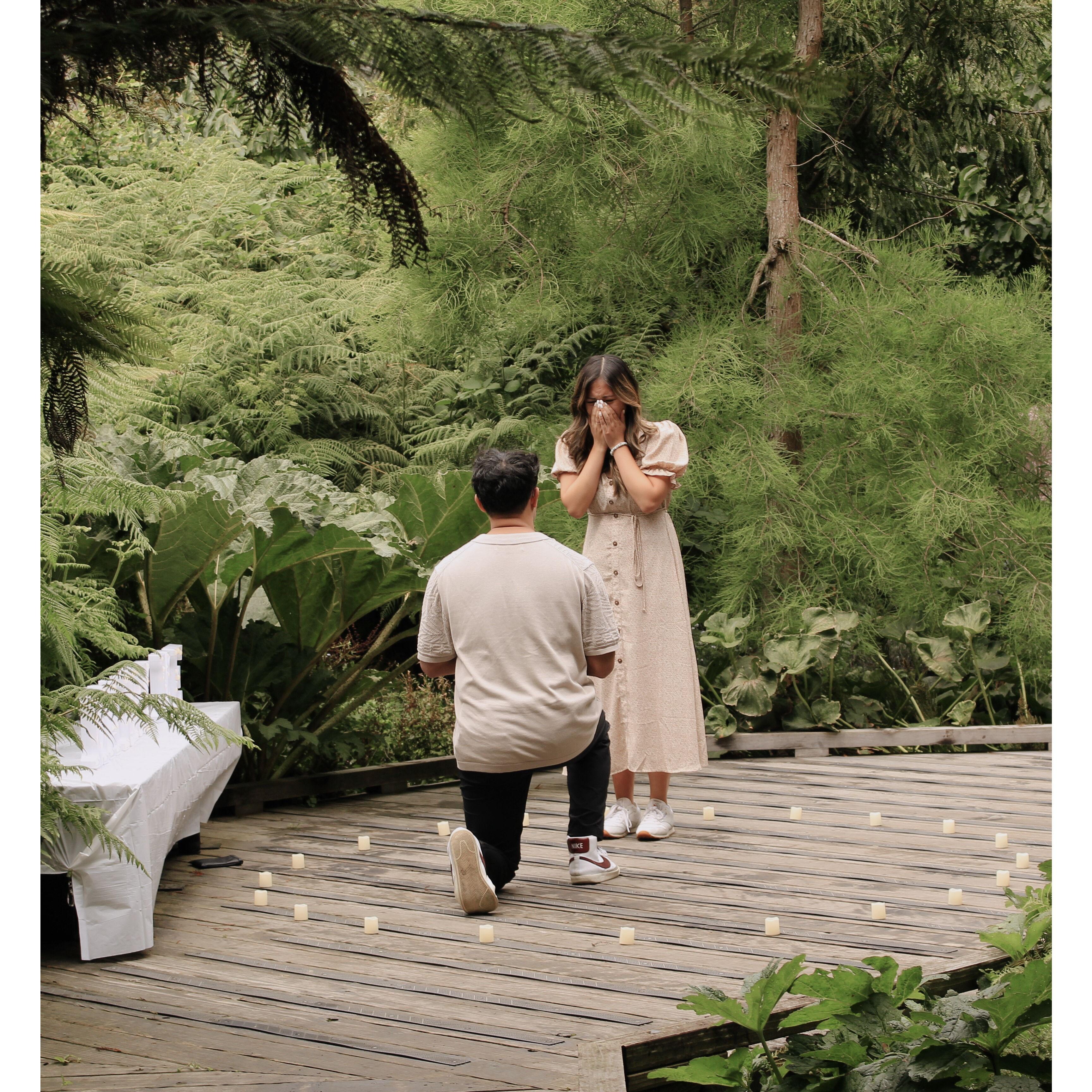 Jaylen Dominguez and Kanijah Smith's Wedding Website