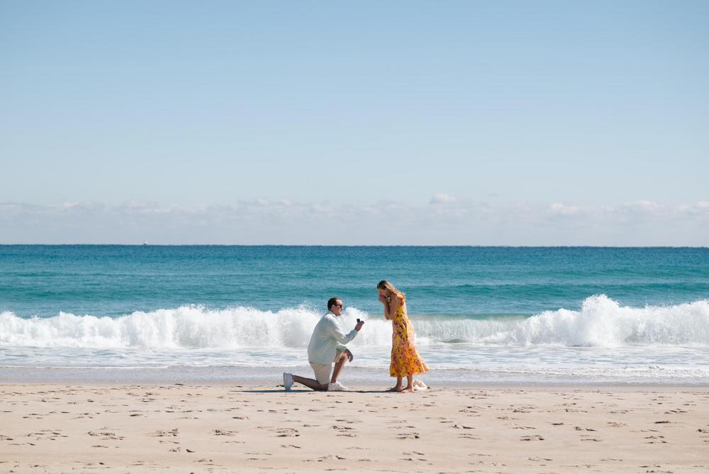 Haley Lippman and Brian Rehmer's Wedding Website