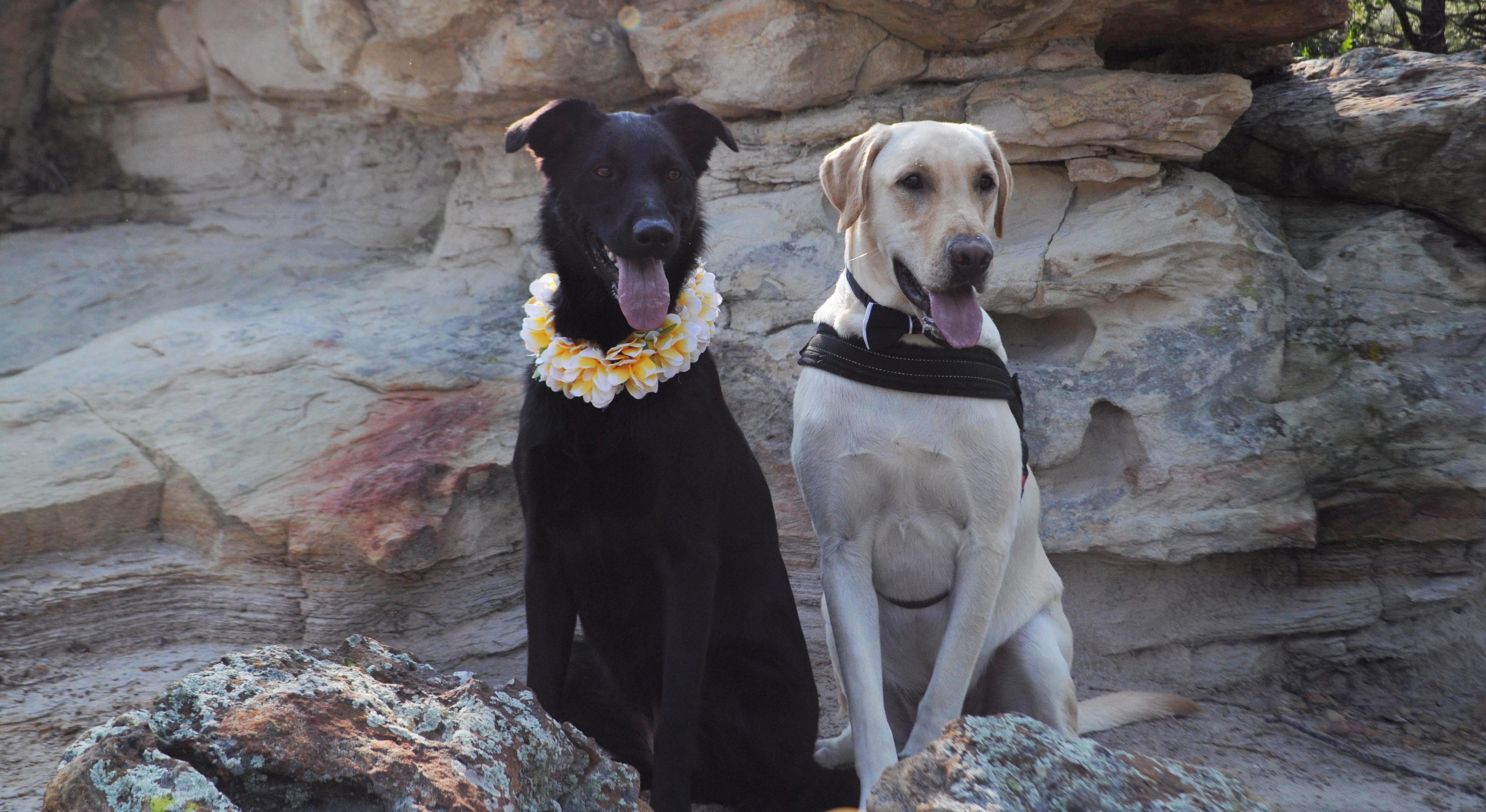 Ashley Nicholas and Kyle Kilborn's Wedding Website