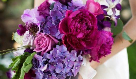 Kat Gentner and Tony Shaw's Wedding Website