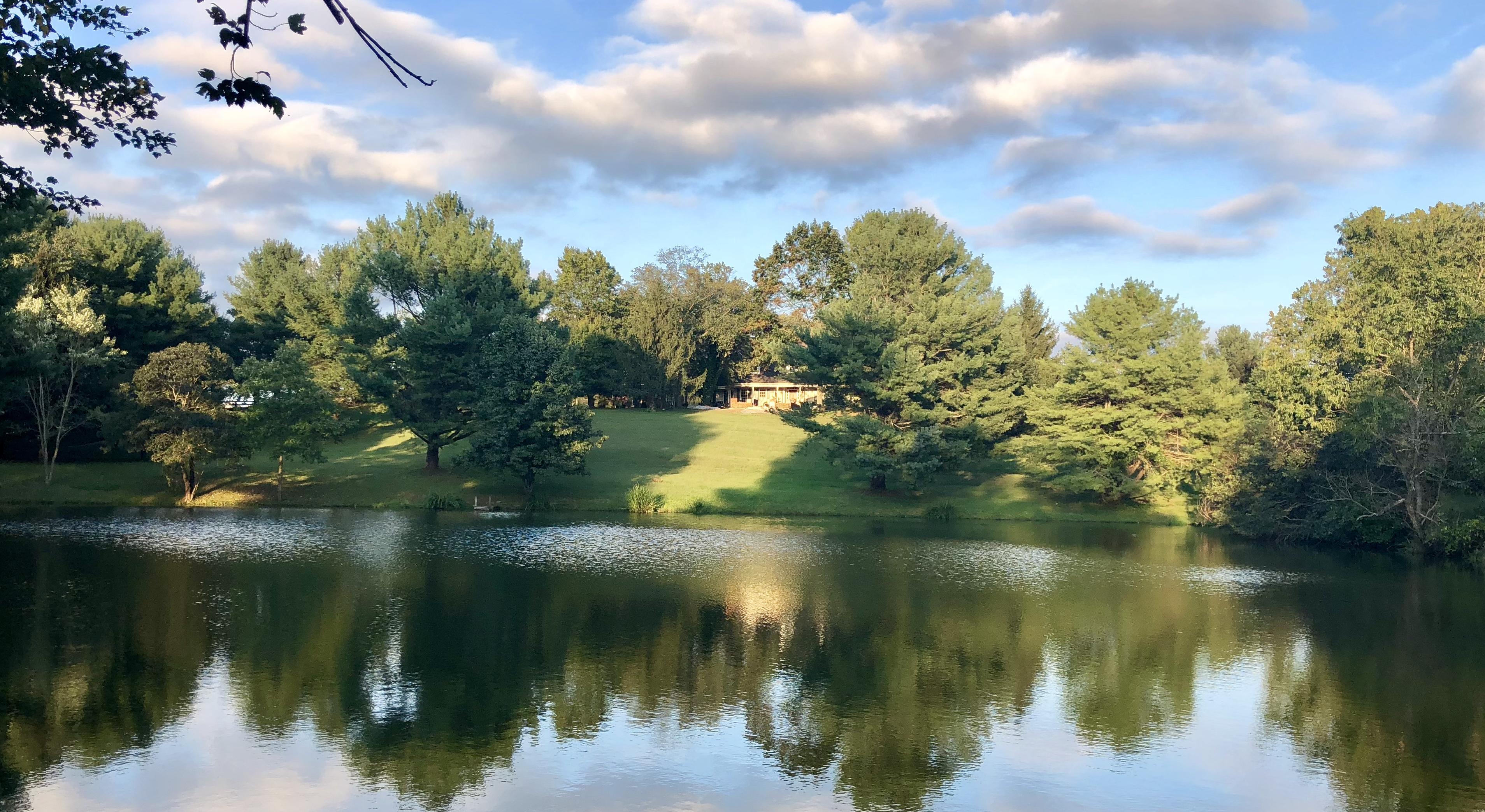 Alexandra Hartz and Andrew LaPrade's Wedding Website