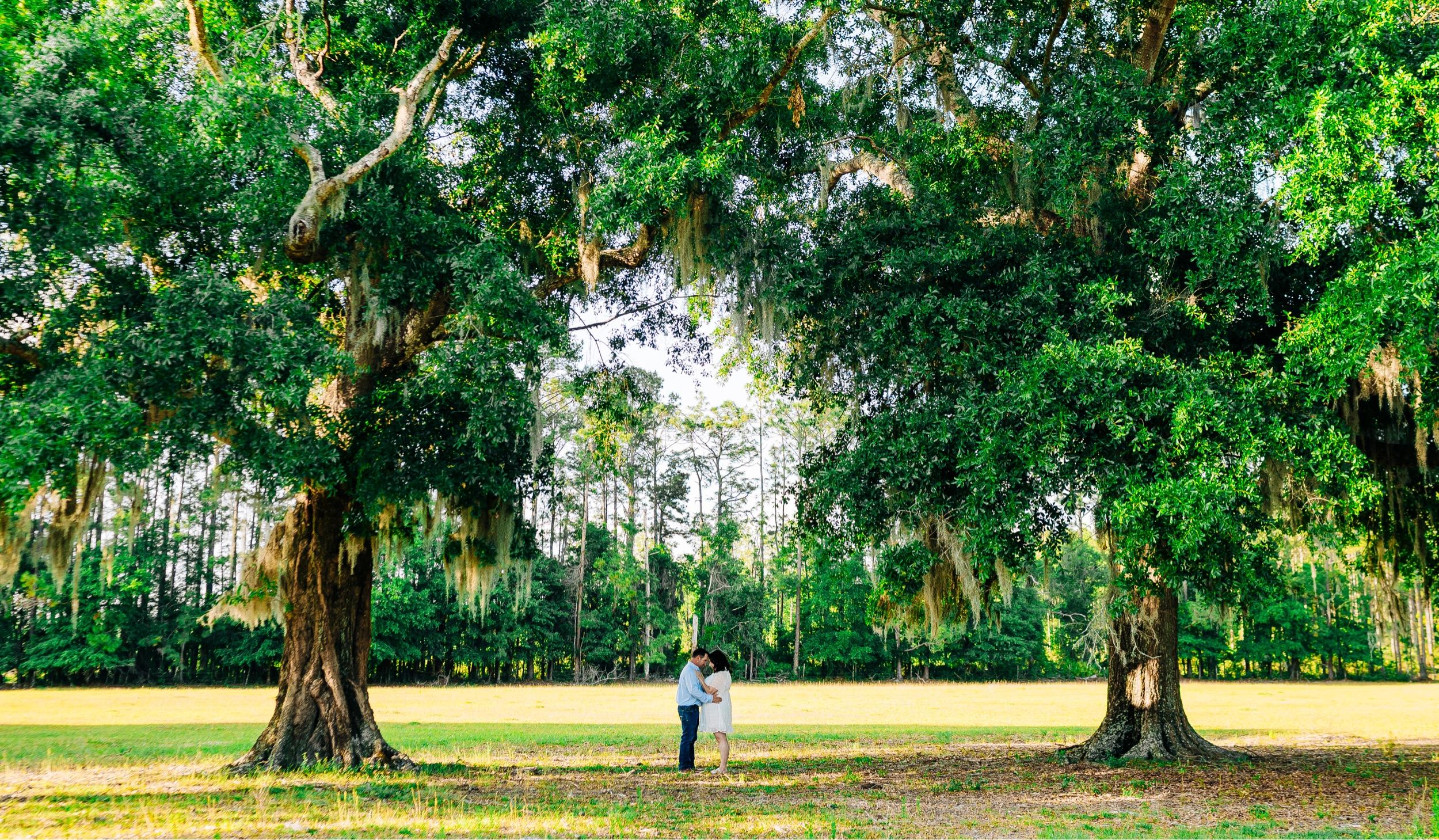 Melanie Box and David Fifield's Wedding Website
