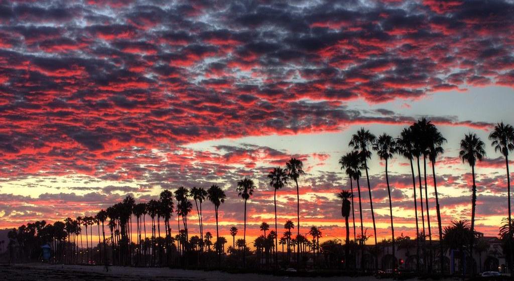 Erica Hazard and Alec Tyre's Wedding Website