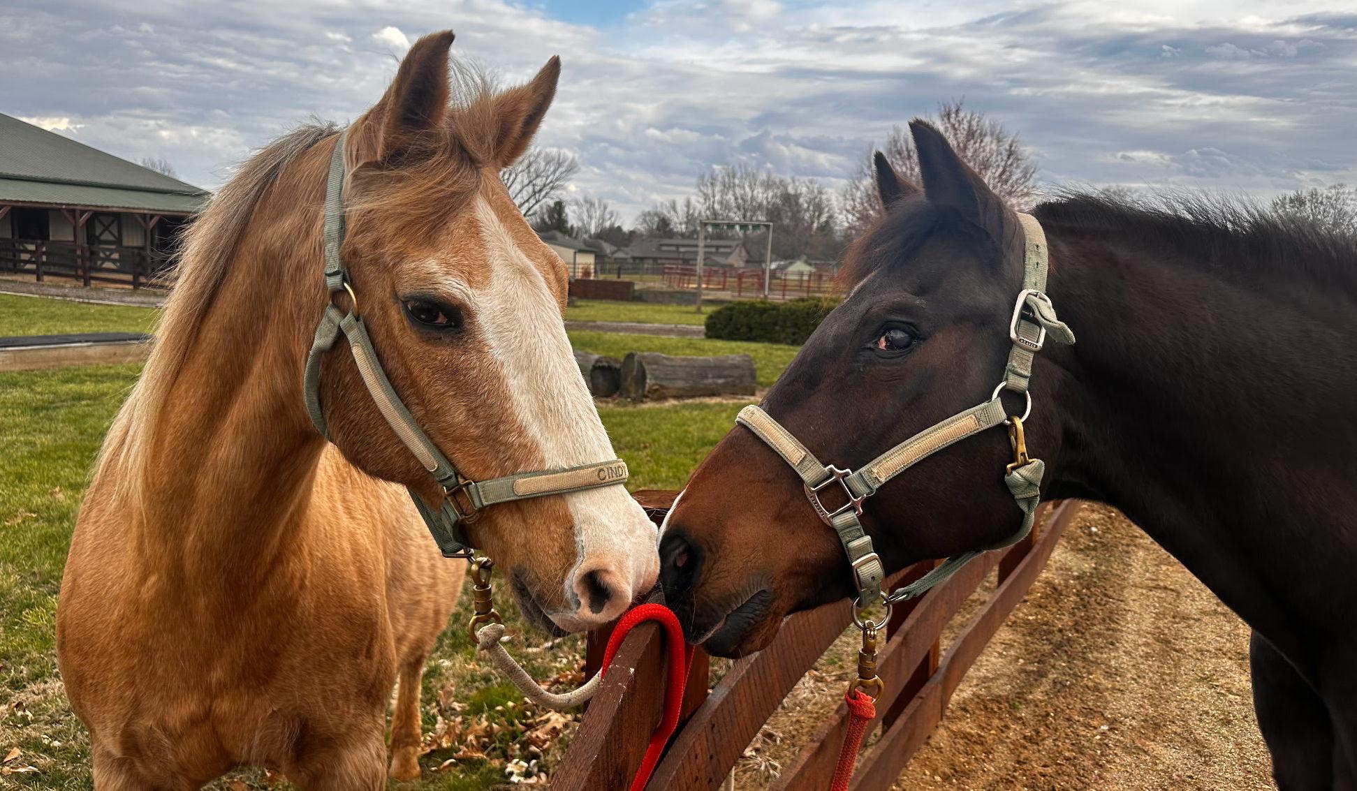 Fletch Strides and Cindy Success' Wedding Website