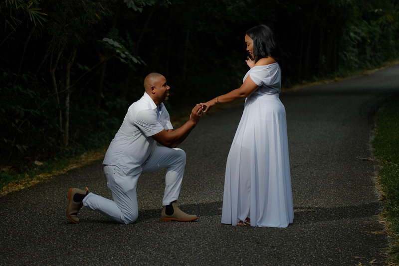 Shenese Charles and Kwasi Ashton's Wedding Website