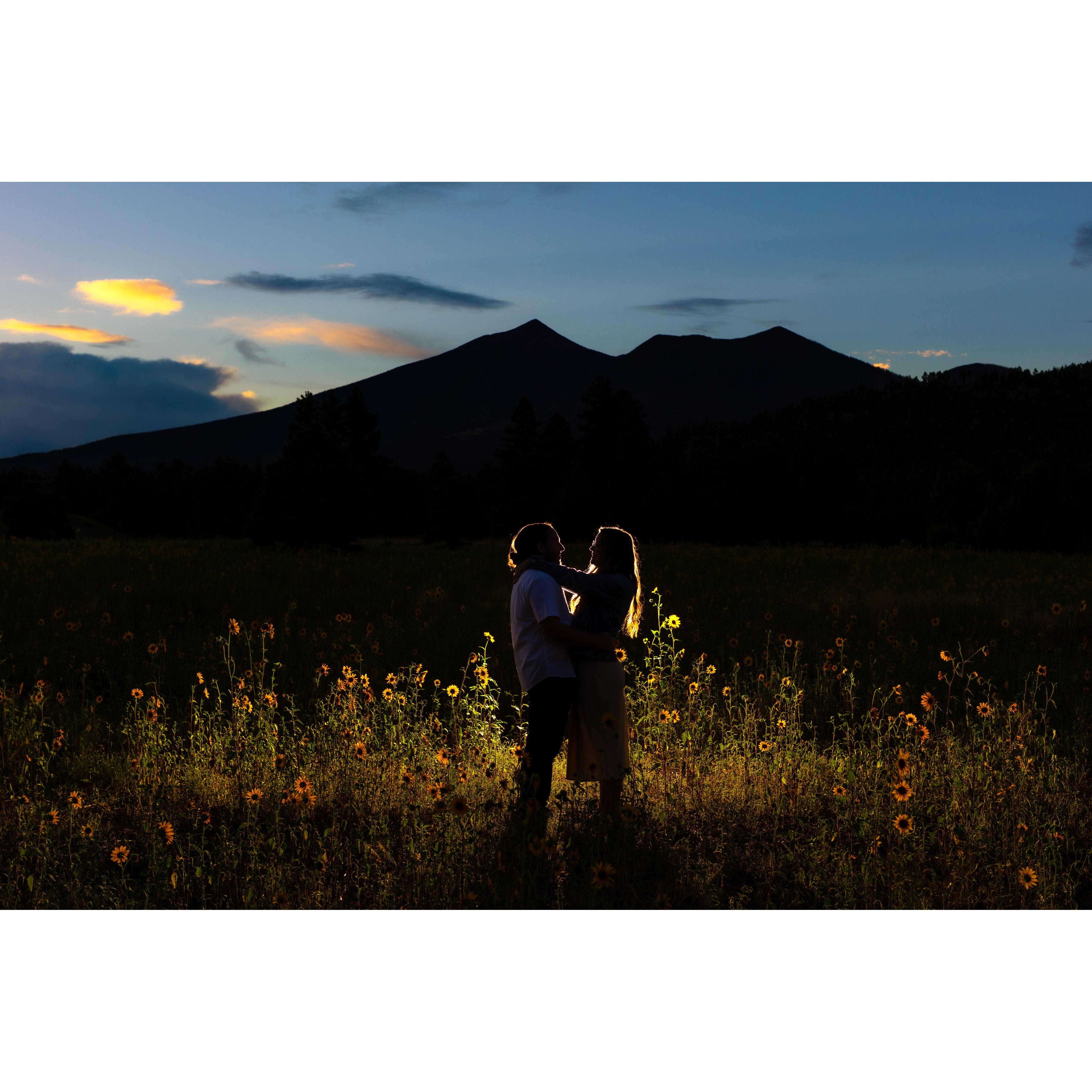 Cali Kimpel and Alex Heitman's Wedding Website