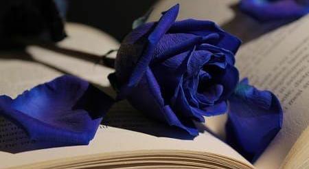 Kisha Clark and John Smith's Wedding Website