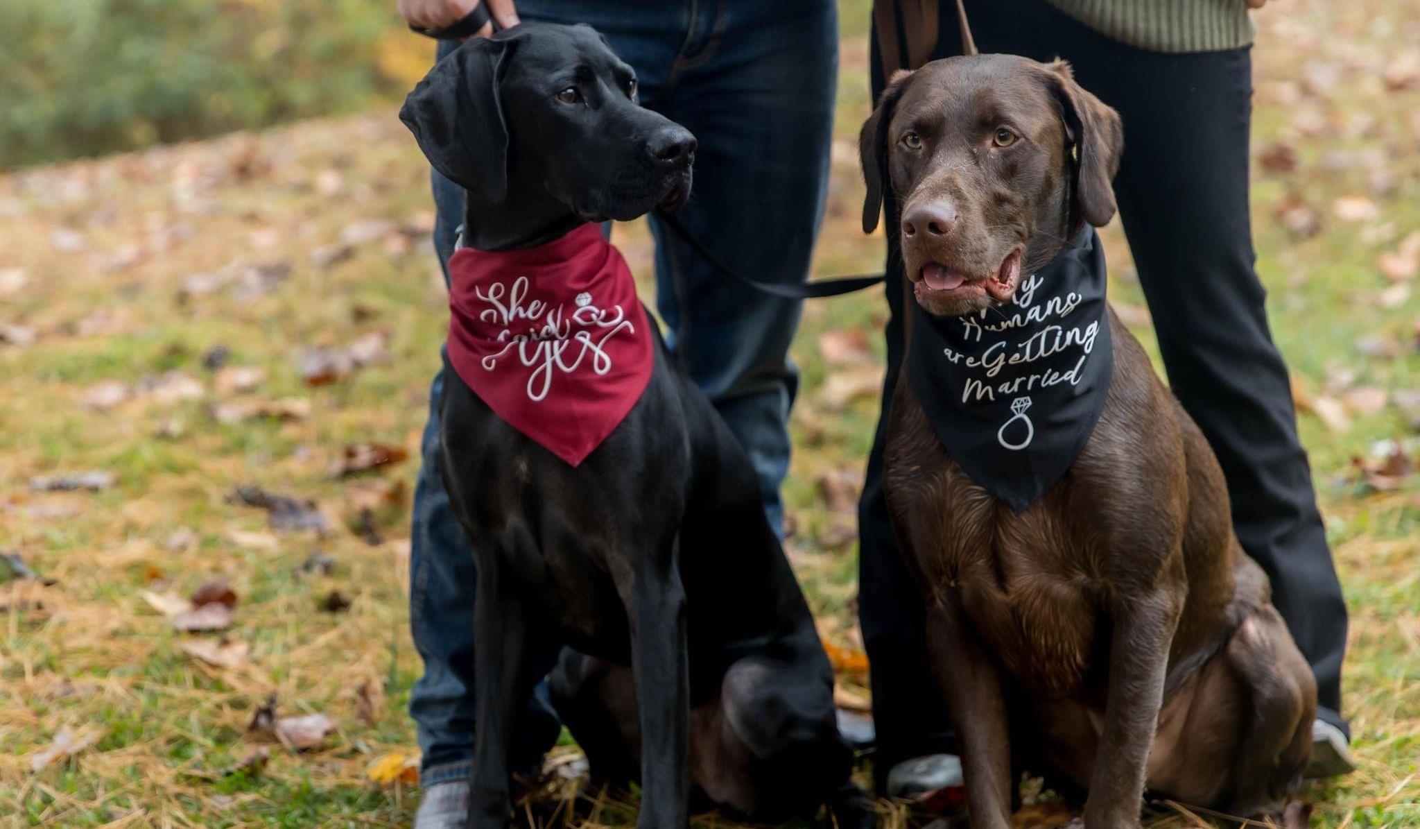 Amanda Hope Allen and Tommy Shane Ingram's Wedding Website