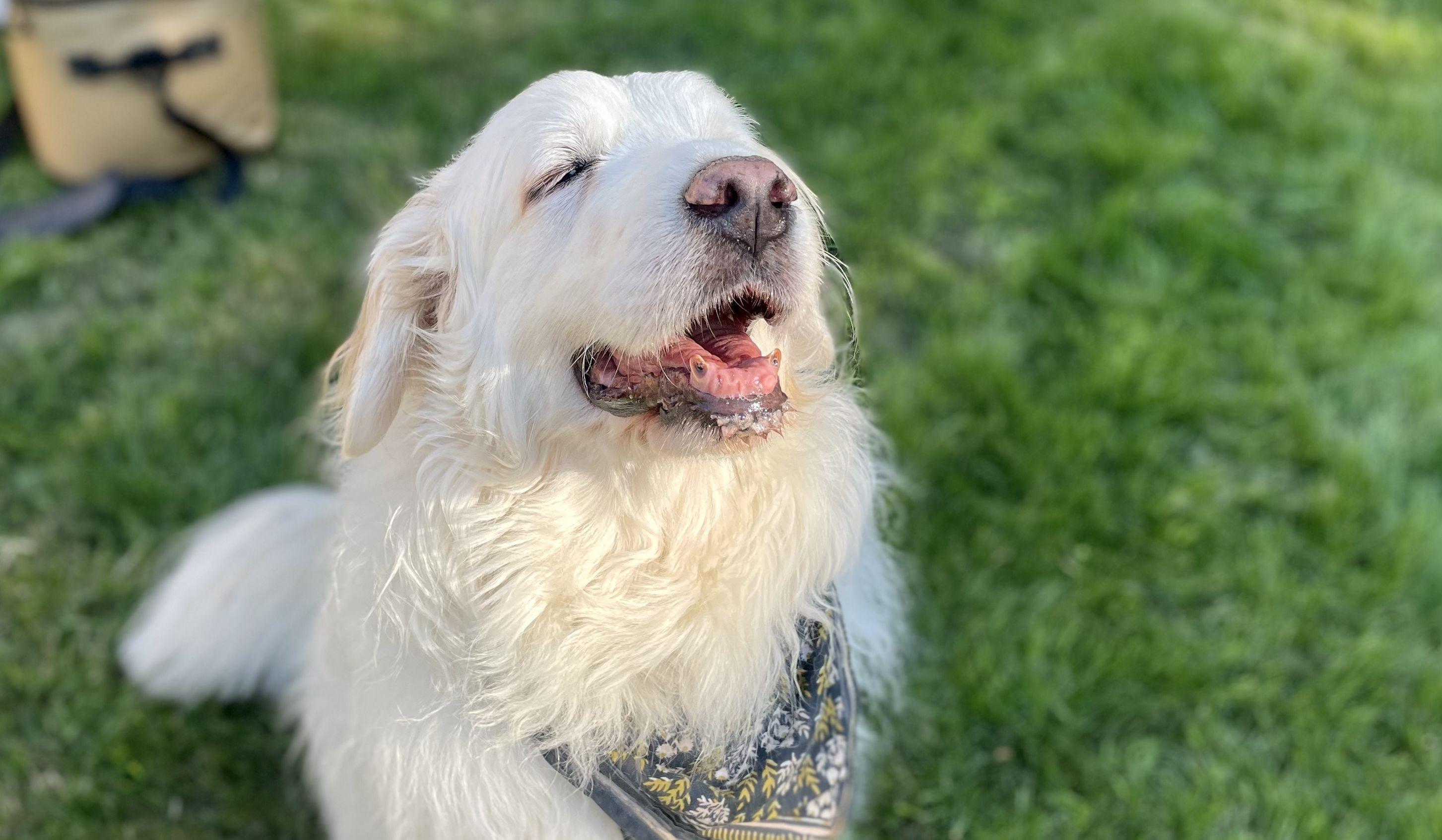 Will Bunn and Shelby Miner's Wedding Website