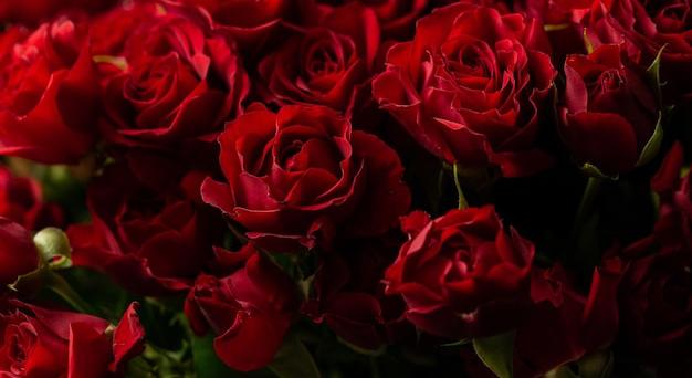 Autumn Grantz and Dean Lusk's Wedding Website