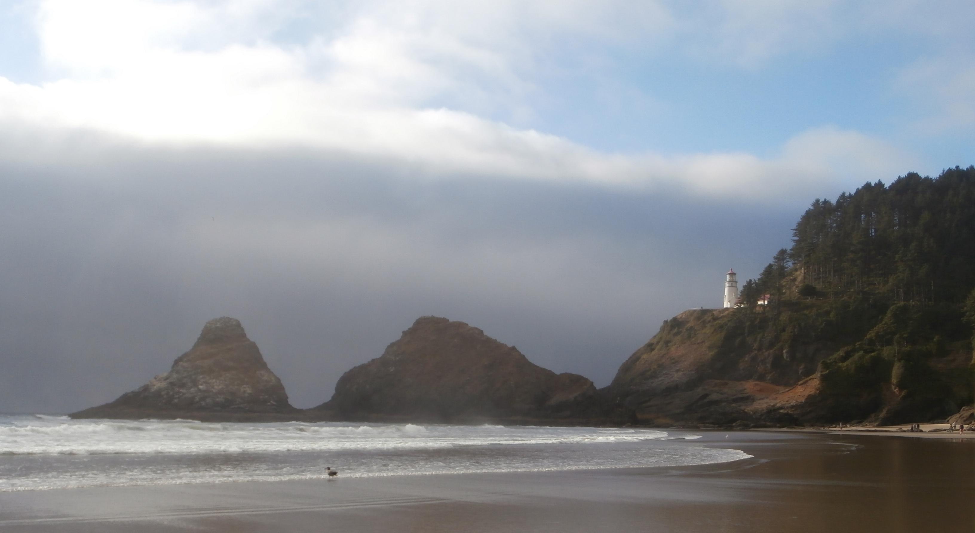 Sharon Sill and Jamie Cottrell's Wedding Website