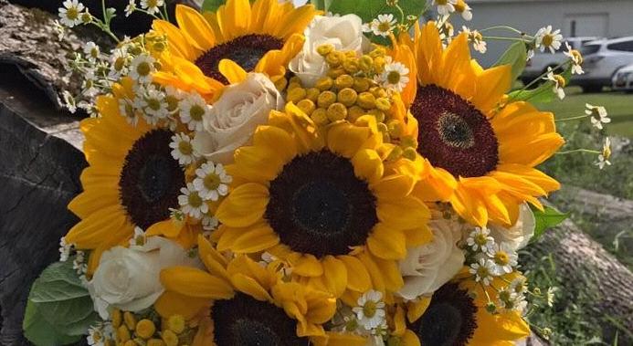 Jennifer Perrin and Andre Antelo's Wedding Website