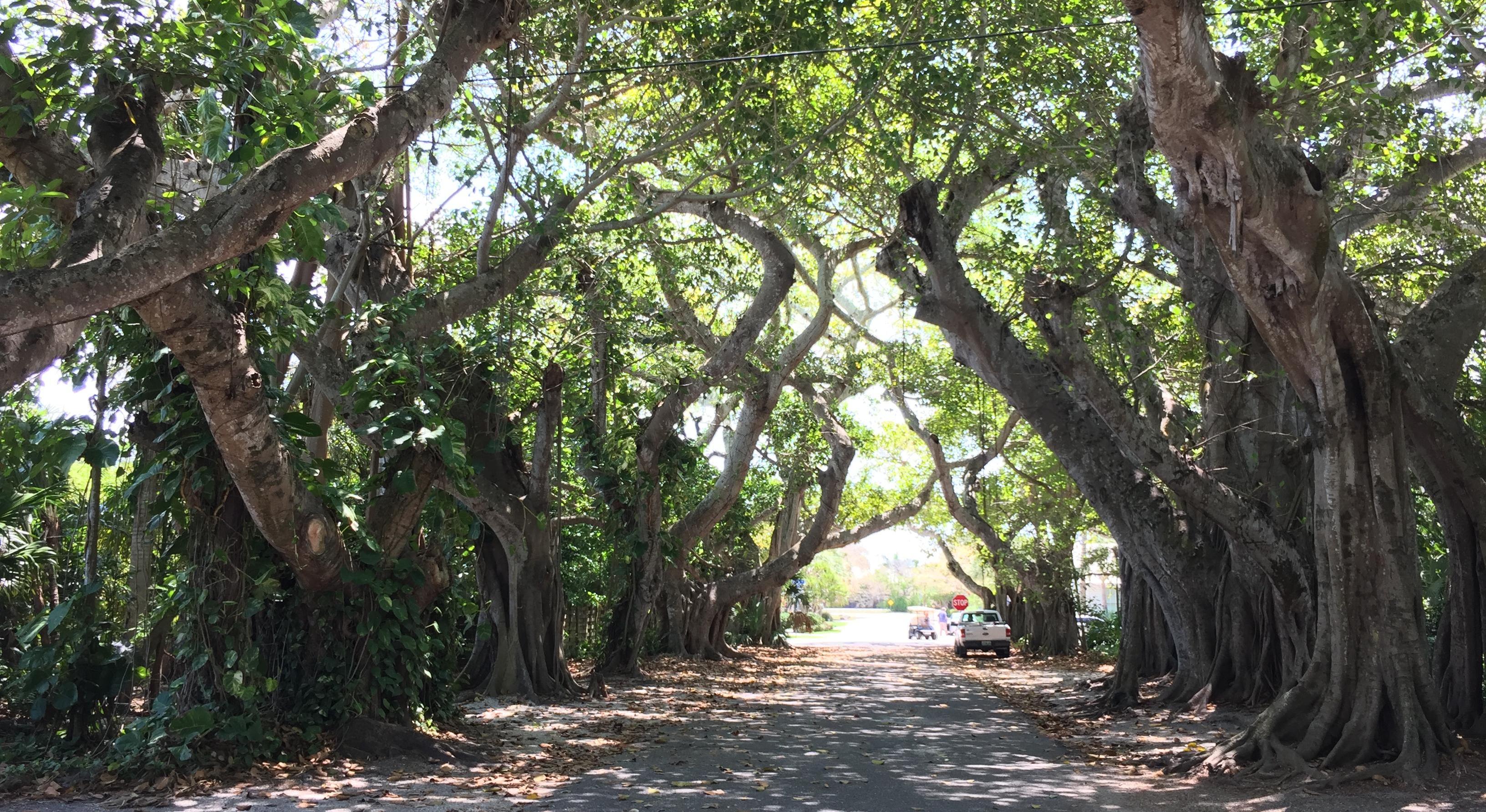 Michael Varde and Miranda Menzel's Wedding Website