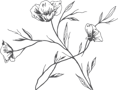 Emma Hemingway and John Hamilton's Wedding Website