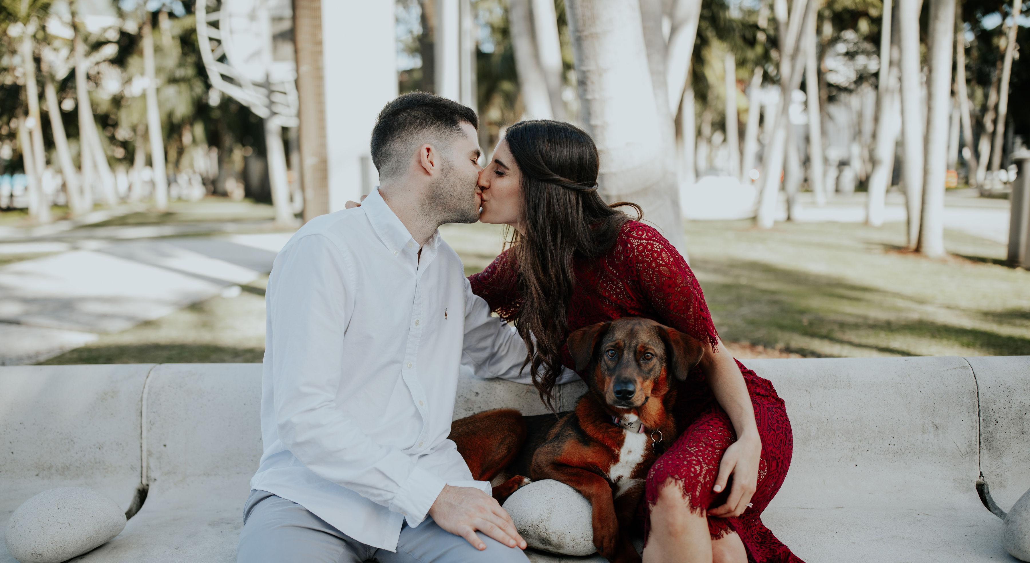 Sharon Sabbagh and Jared Halper's Wedding Website