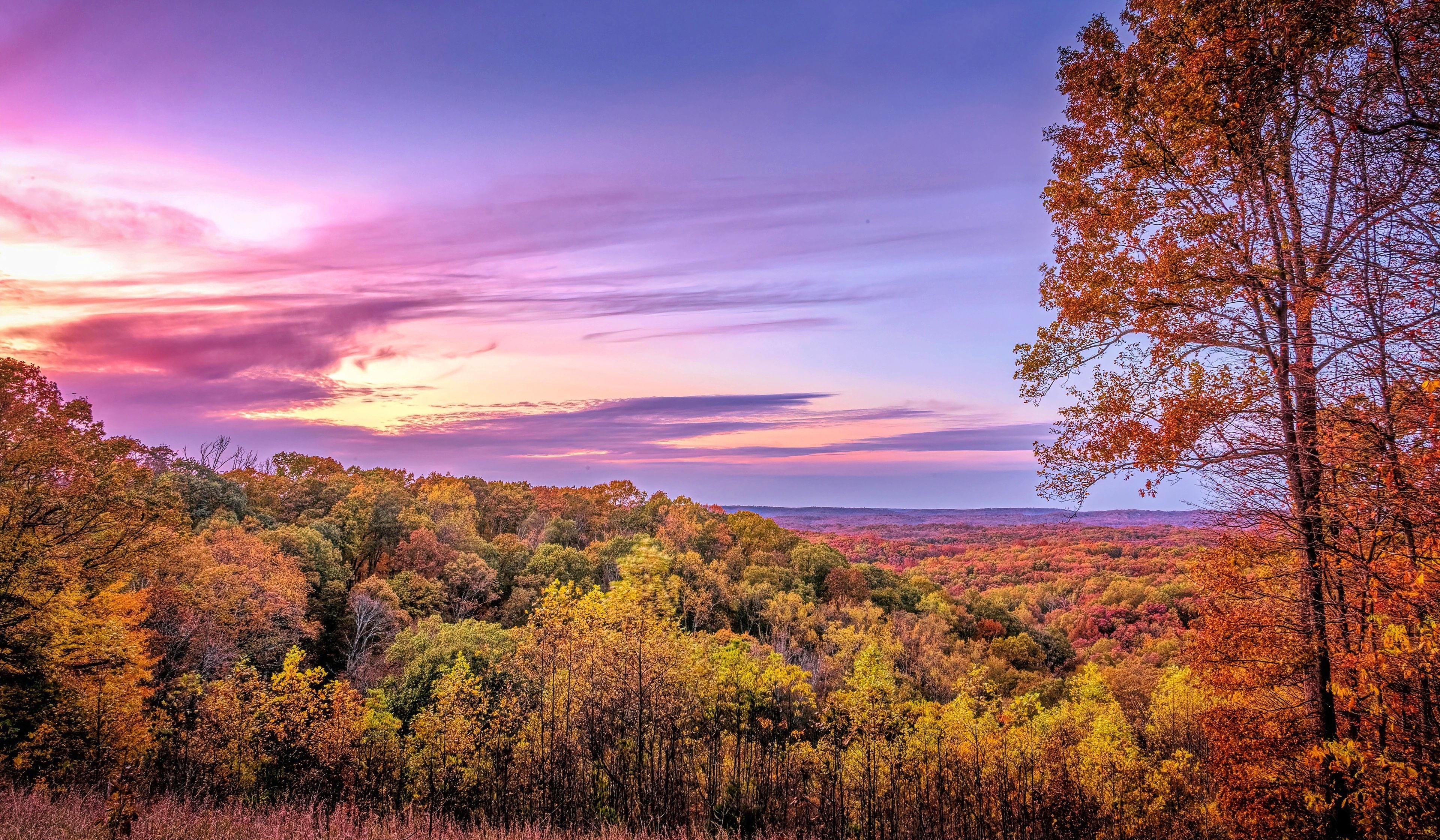 Annabel Rodriguez and Michael Gomez's Wedding Website