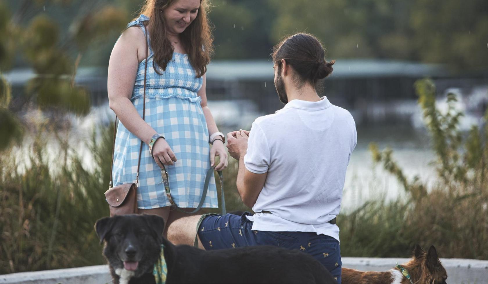 Hannah Emmalee Lipps and Colin Michael Basham's Wedding Website