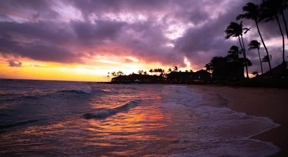 Donna Shapiro and Richard Armijo's Wedding Website