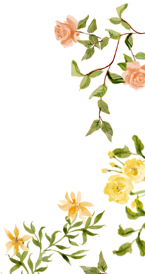 Hayley Chartier and Michael Eismann's Wedding Website