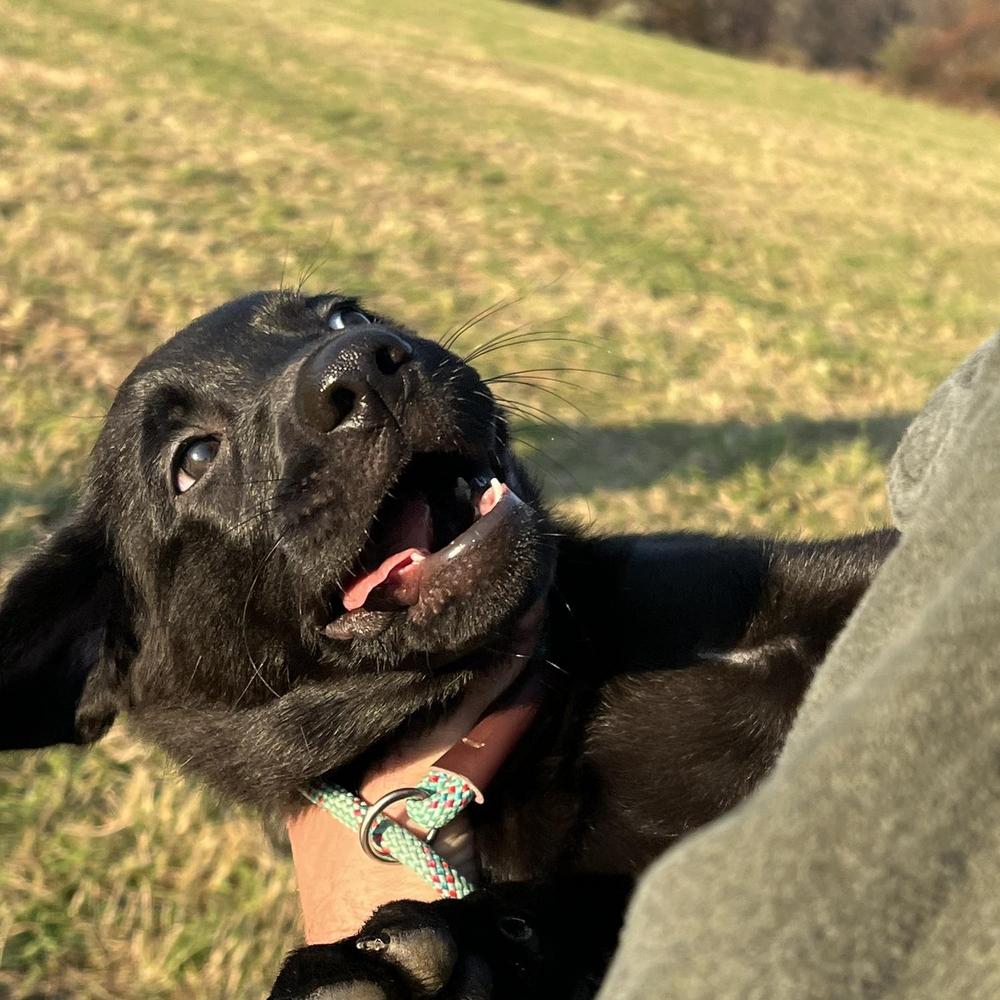 Emily Nichols and Zachary Upton's Wedding Website