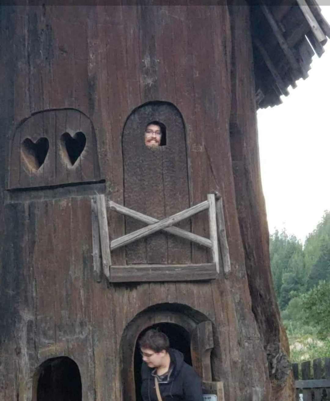 Nick Goswick and Sarah Stockfleth's Wedding Website