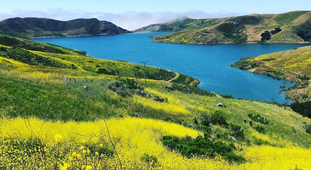 Sarah Kalin and Sergio Cruz's Wedding Website