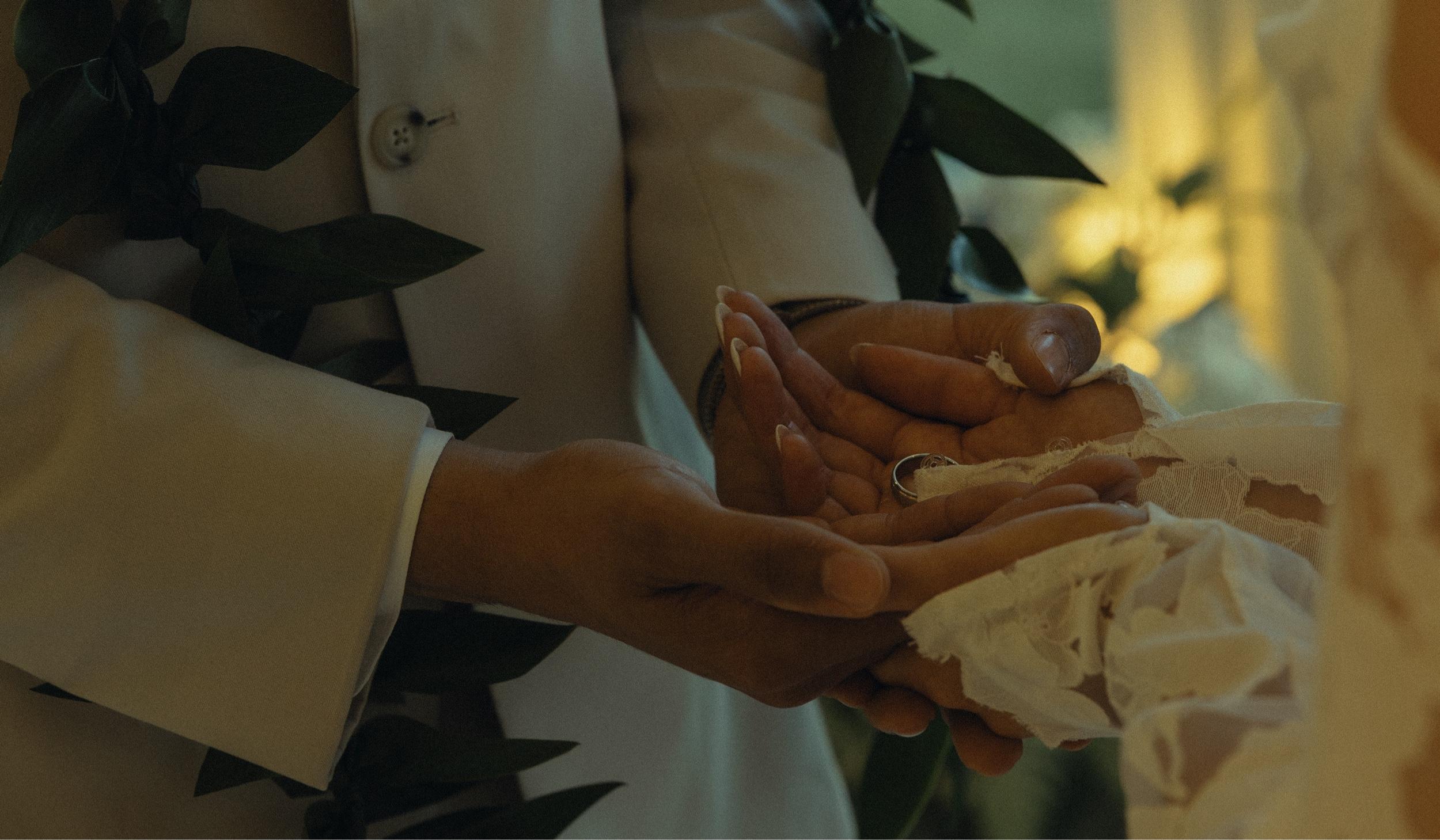 Lindsay Stevenson and Nathaniel Stevenson's Wedding Website