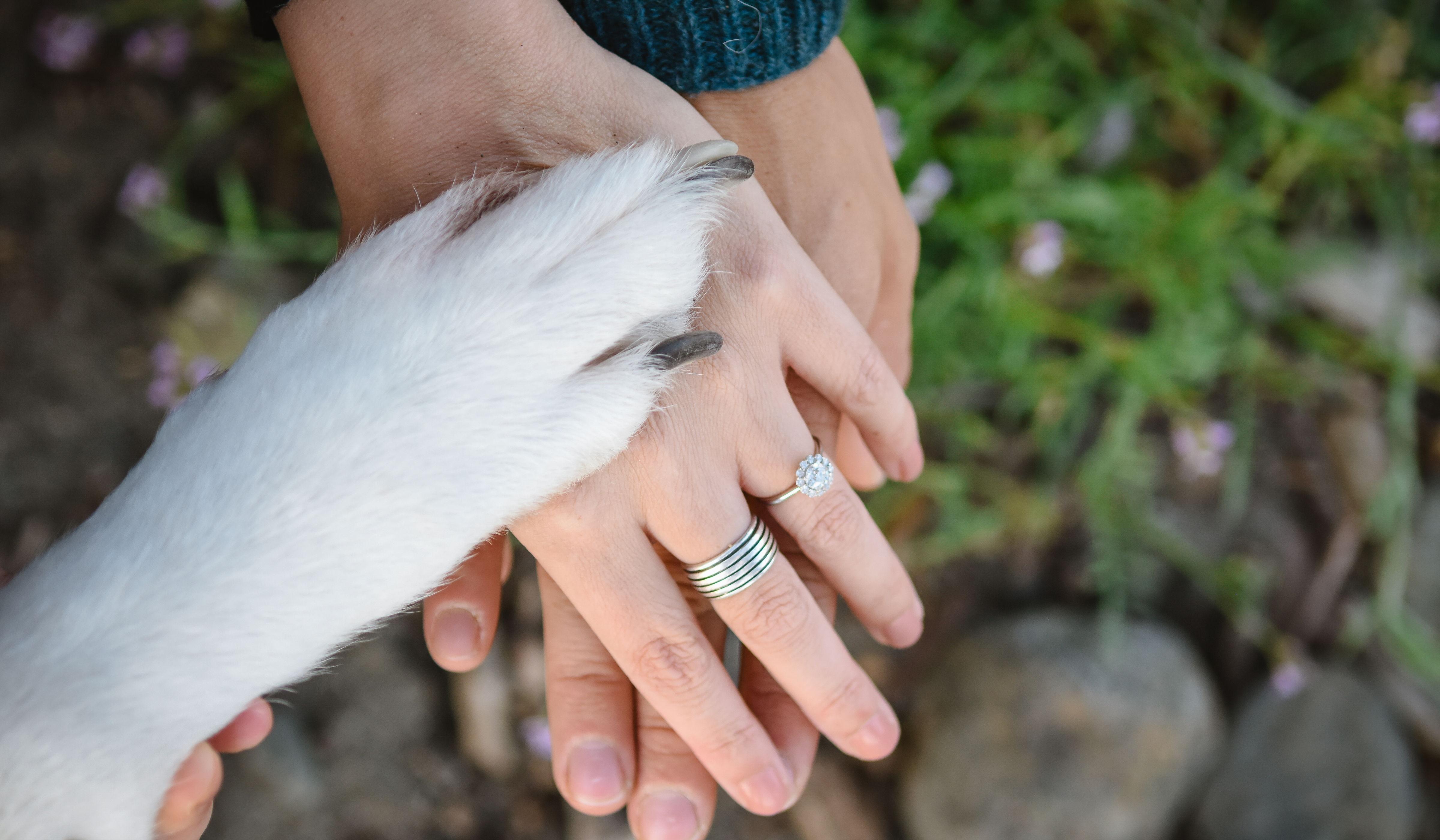 Seamus Jones and Leslie Nelson's Wedding Website