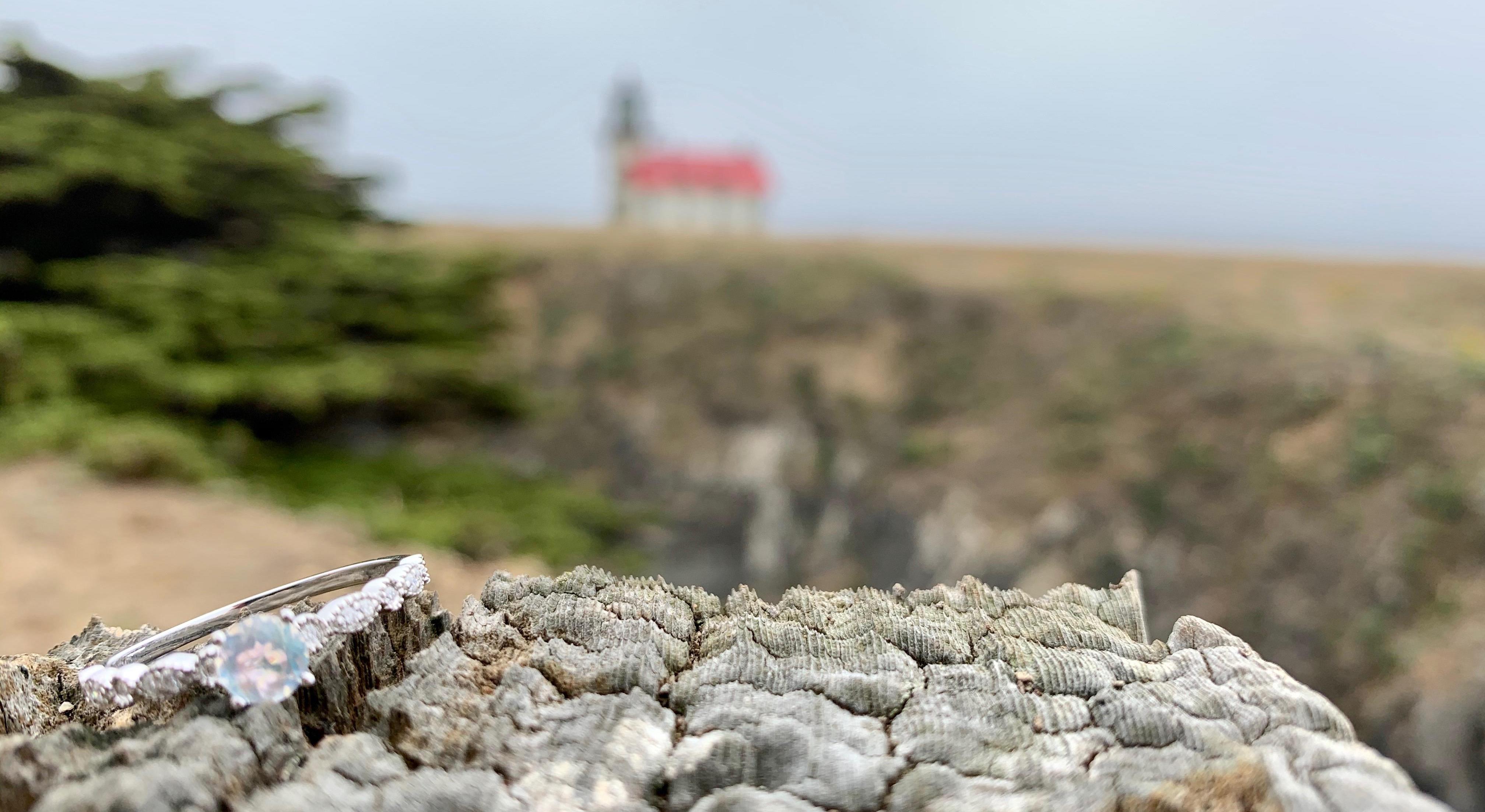 Francesca Petroni and Sarah Ewing's Wedding Website