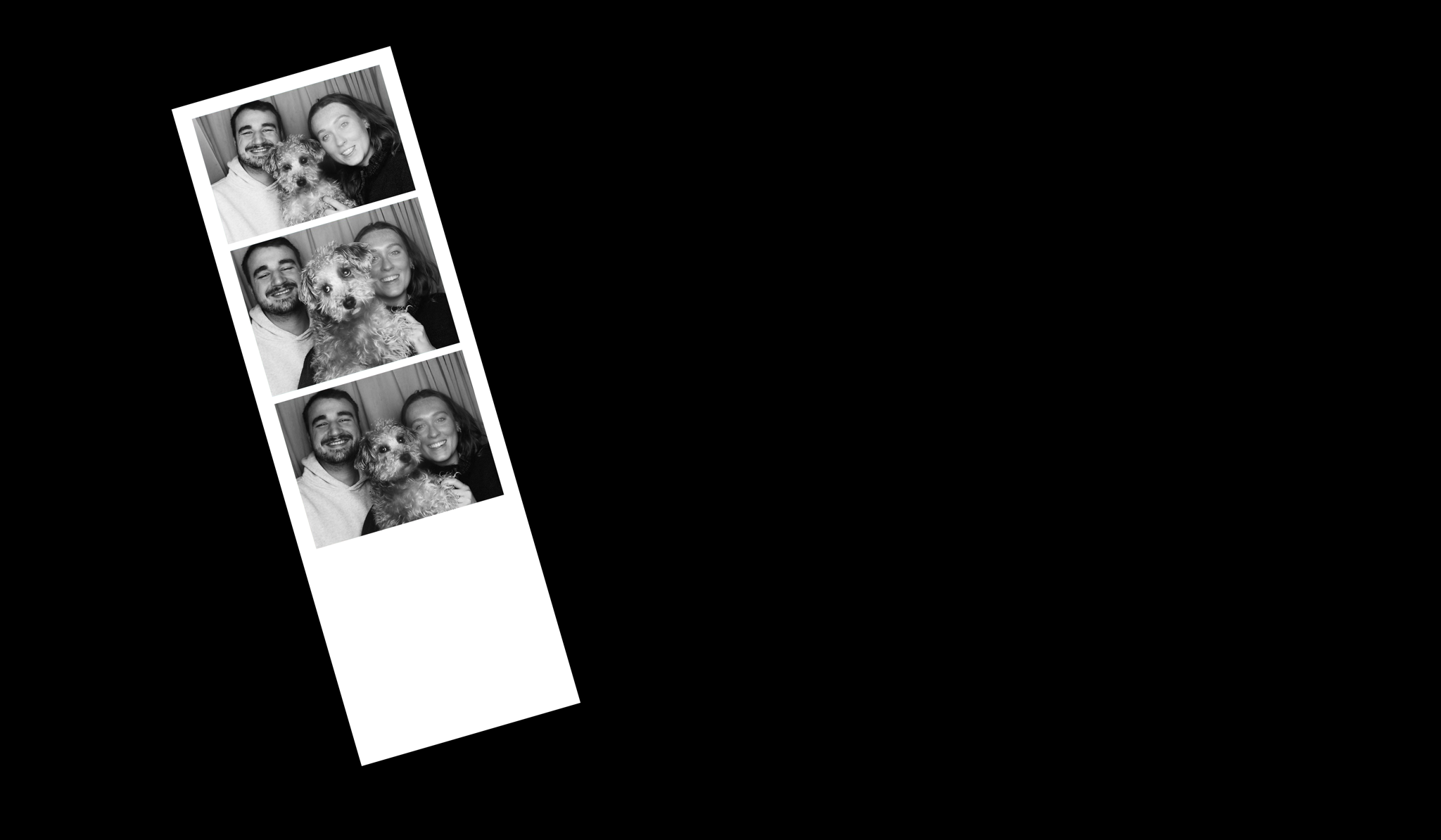 Abby Doeden and Tim Nielsen's Wedding Website