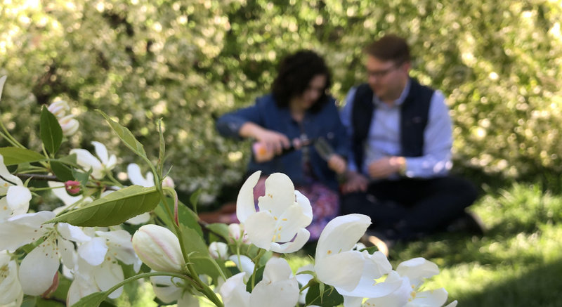 Sarah Scalia and Christian Thienel's Wedding Website