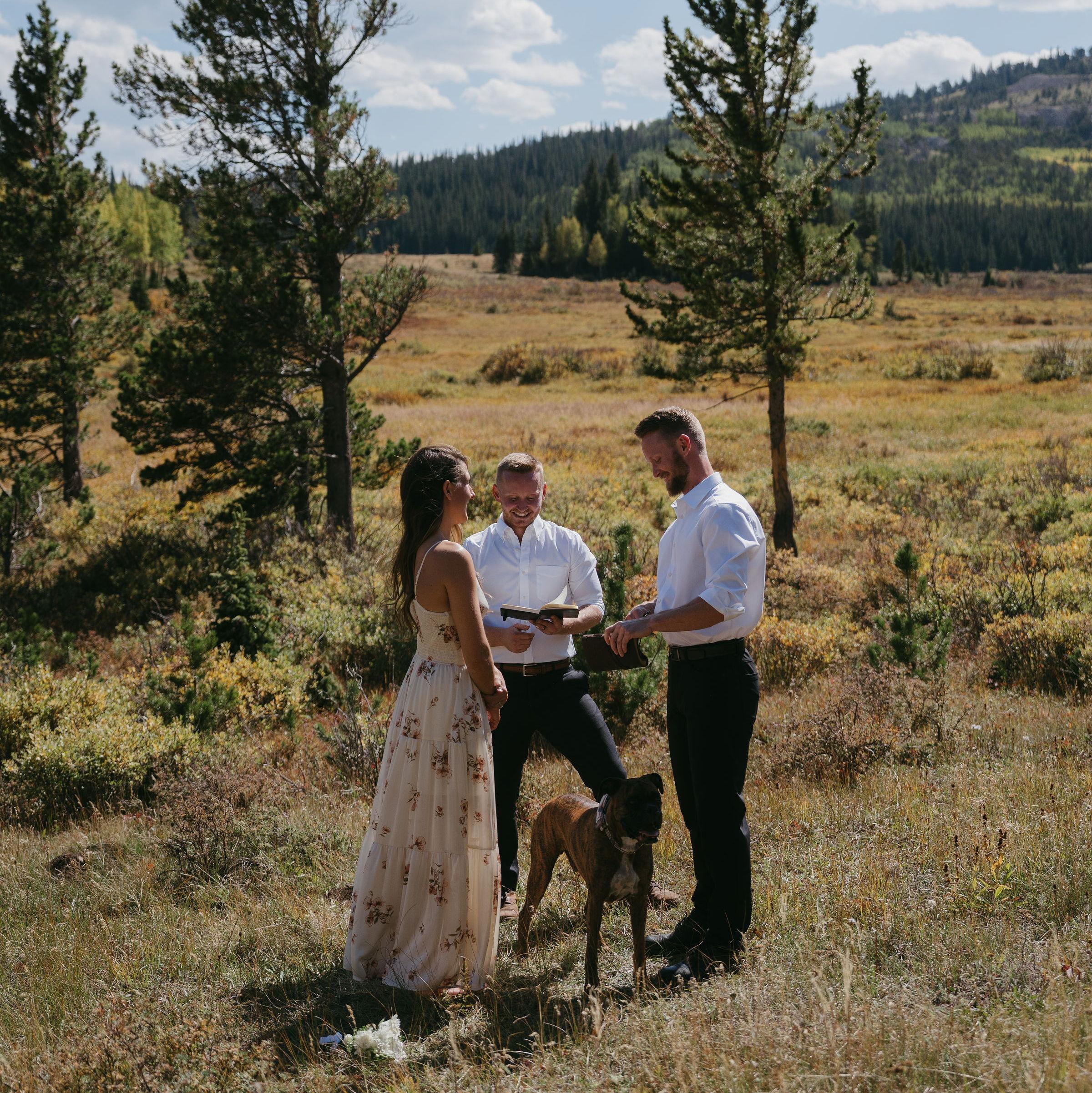 Molly Murray and Riley Caler's Wedding Website