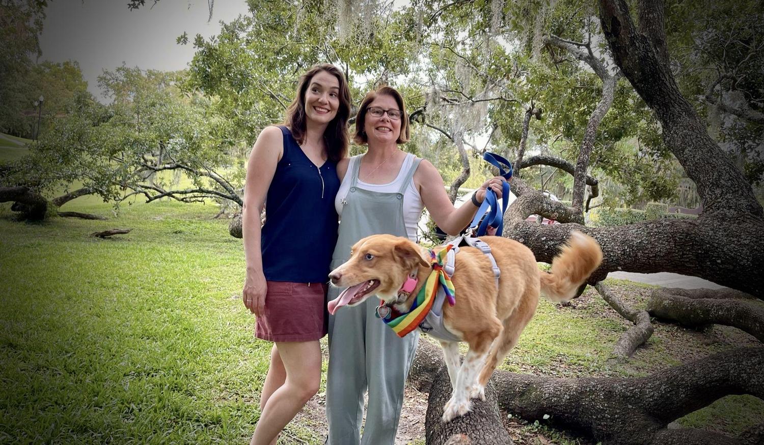 Stacy Tanner and Joanna Couch's Wedding Website