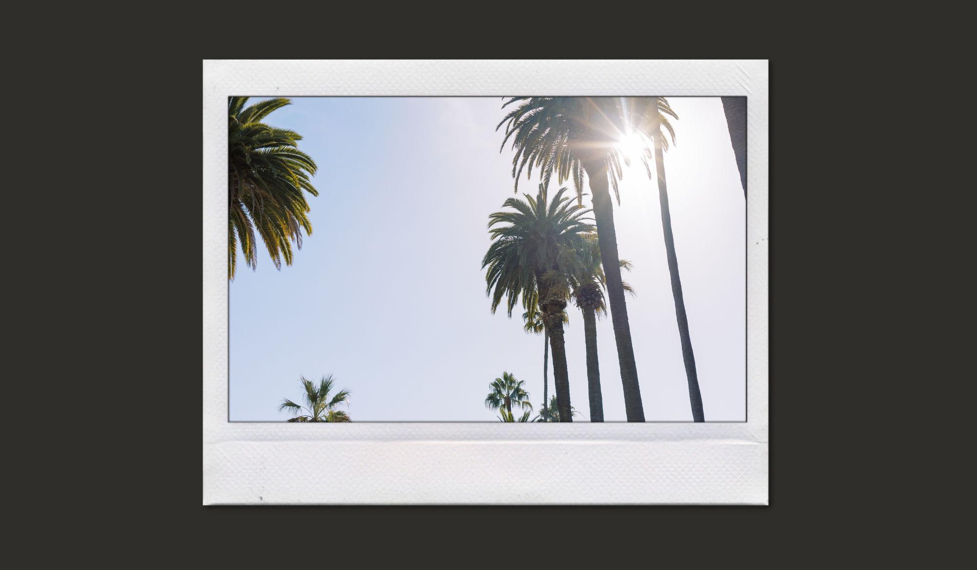 Shel Powers and Rob Durrett's Wedding Website