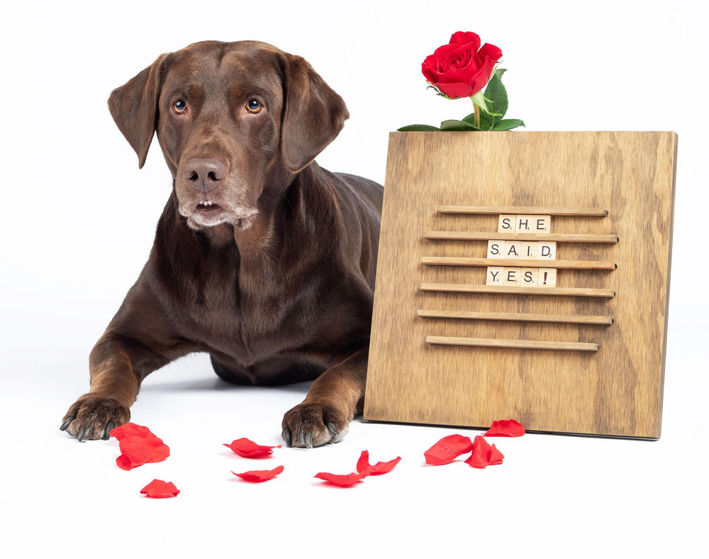 Shawn Graham and David Dees' Wedding Website