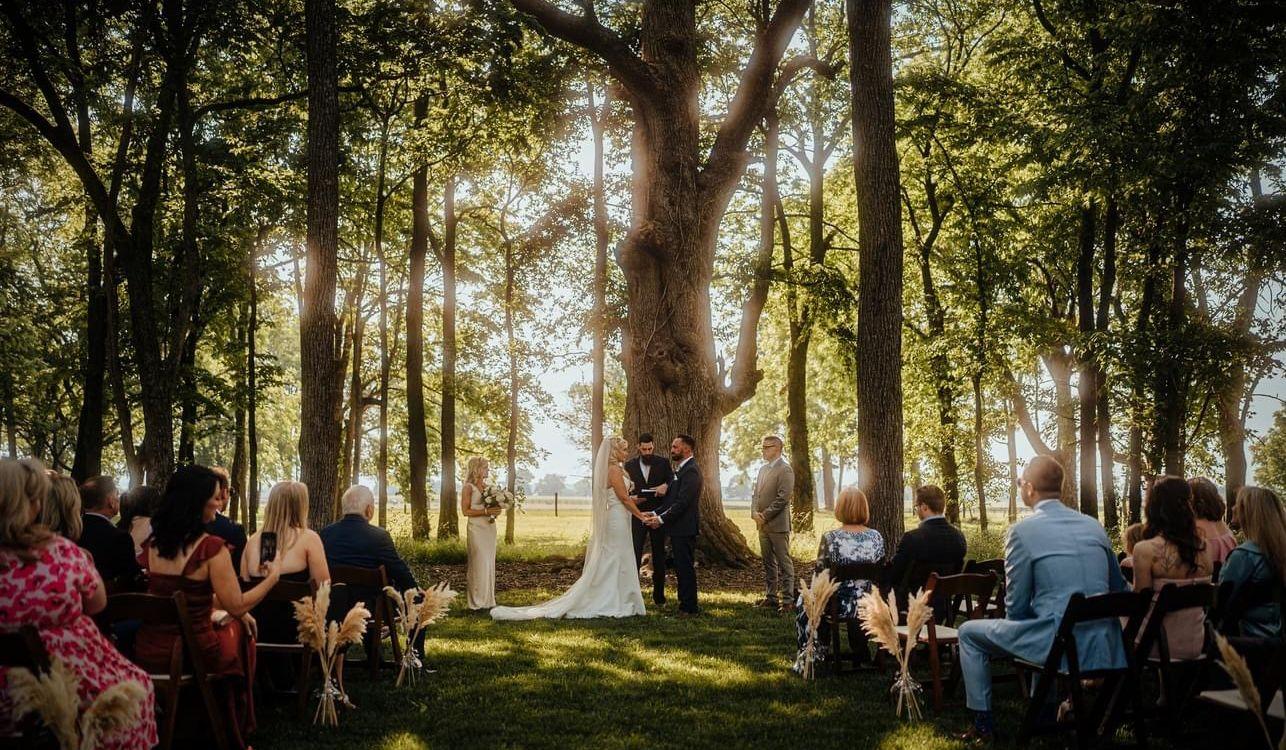 Heather Wehrheim and Mike LeMire's Wedding Website