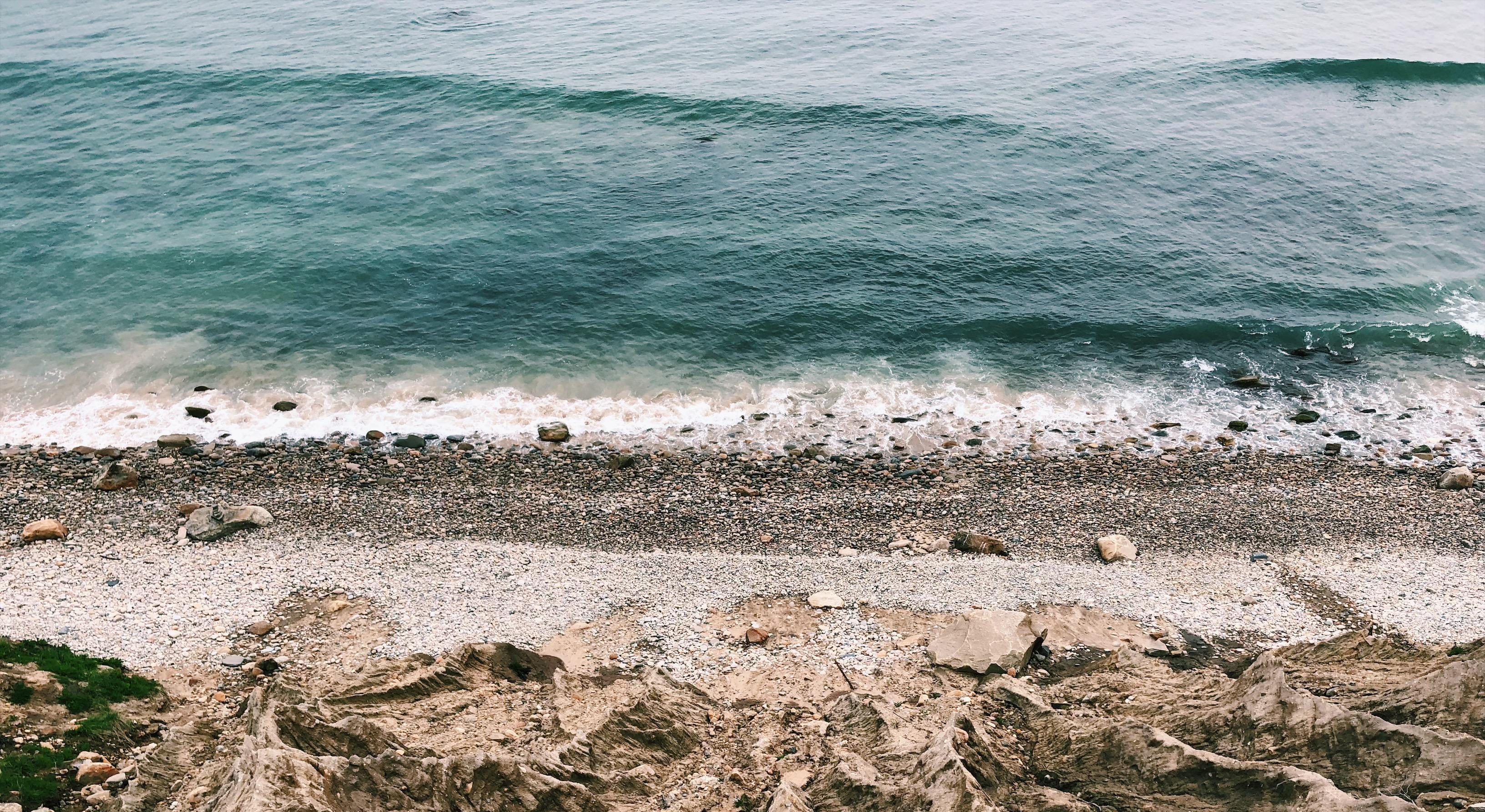 Jamie Wandzilak and David Dragich's Wedding Website