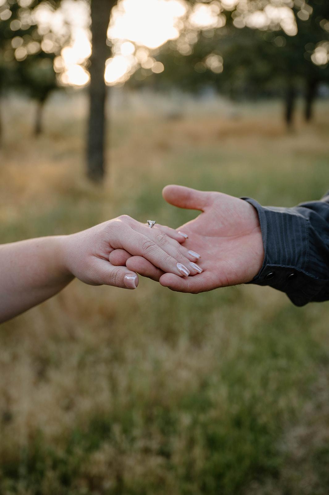 Allie Solari and Jake Buchmann's Wedding Website