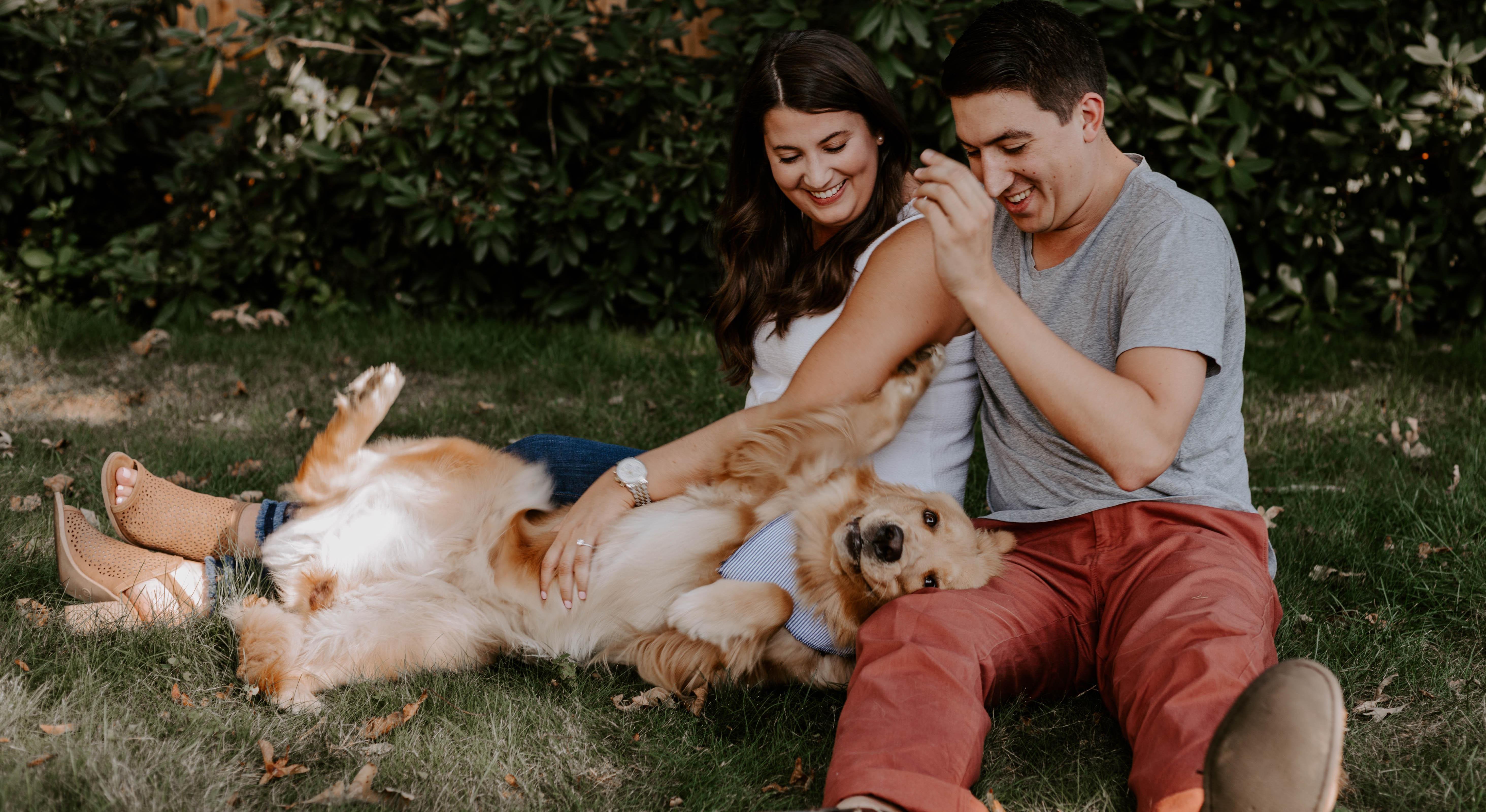 Dominic Poncia and Arielle Poncia's Wedding Website