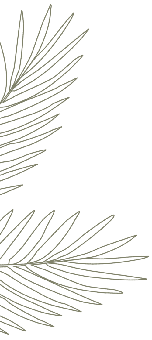 Sarah Auger and Jesse Wymard's Wedding Website