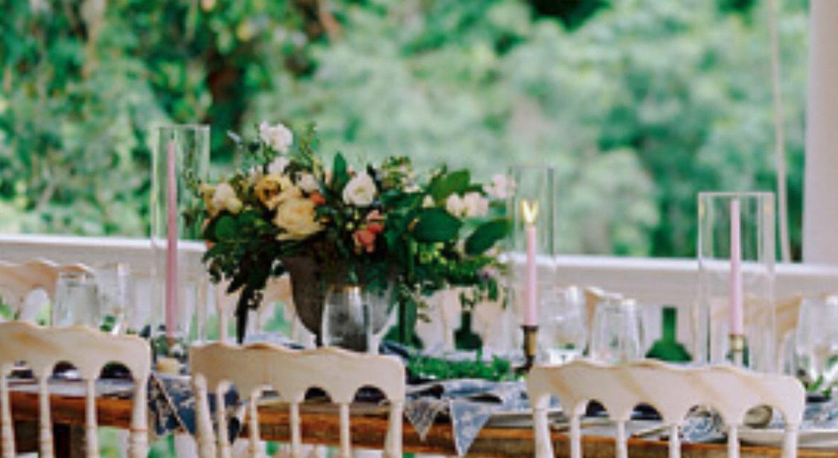 Stacey Leigh Reavis and James Van Alen's Wedding Website