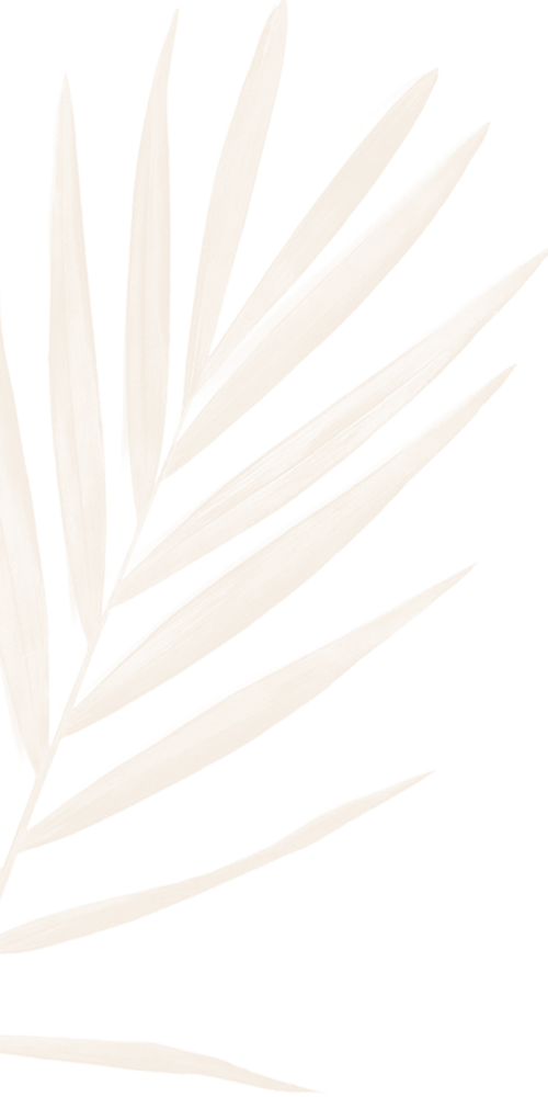 Xiao Kuang and Cory LeRoy's Wedding Website