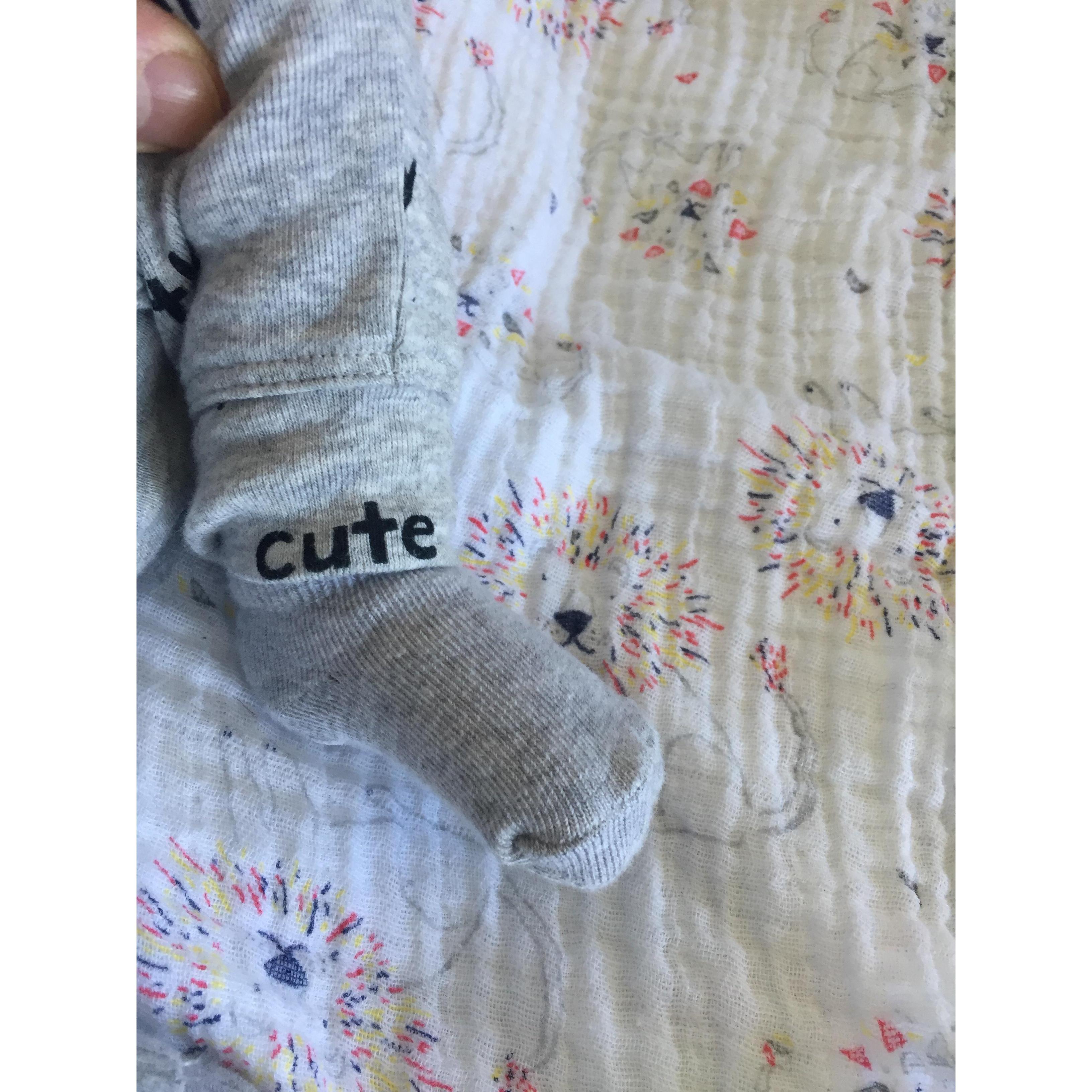 Johanna Phelps and Daphne Fitzpatrick's Wedding Website