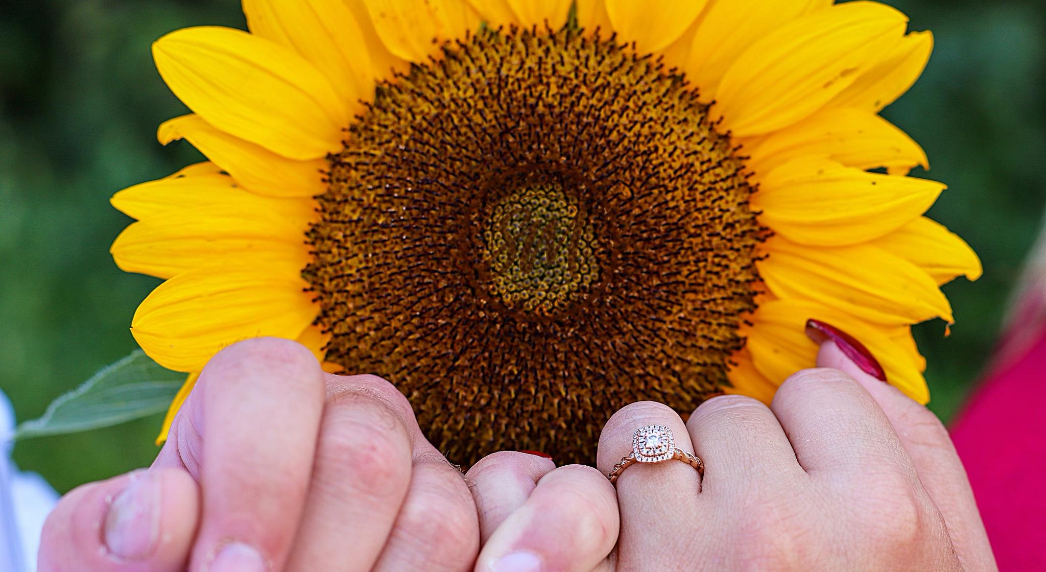 Keri Loder and Brandon Jones' Wedding Website