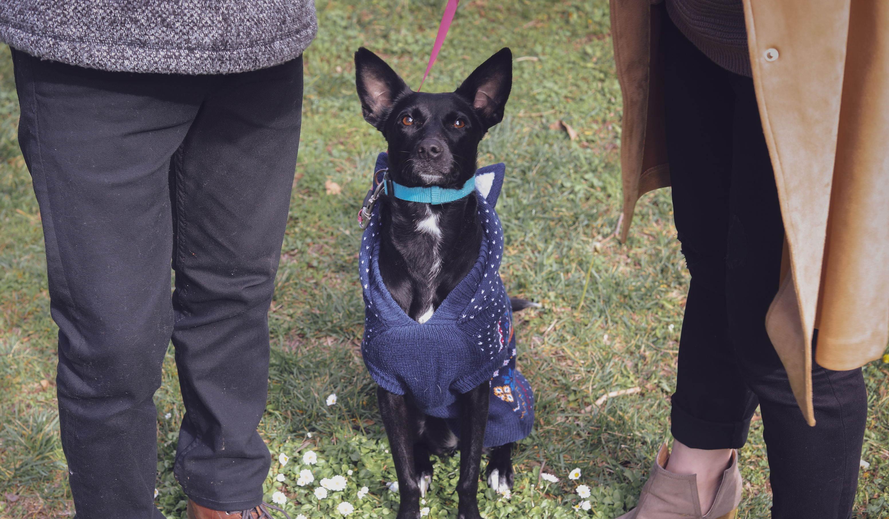 Belle Yee and Michael Li's Wedding Website