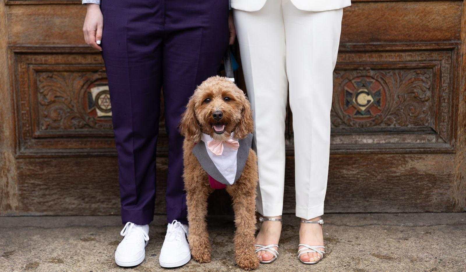 Drew Petroske and Victoria Monreal's Wedding Website