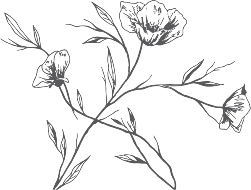 Chloe McIntosh and Trajen Linear's Wedding Website