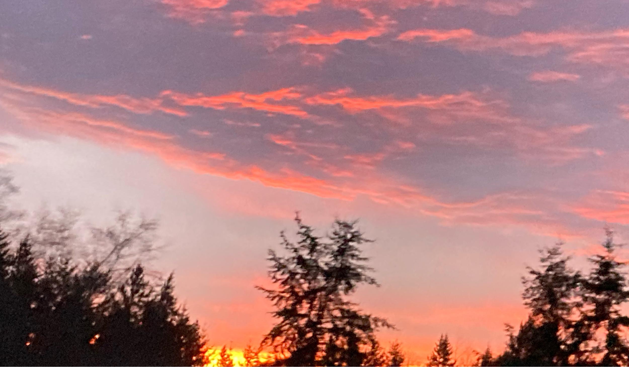 Kelly Cassidy and Diann Trutton's Wedding Website